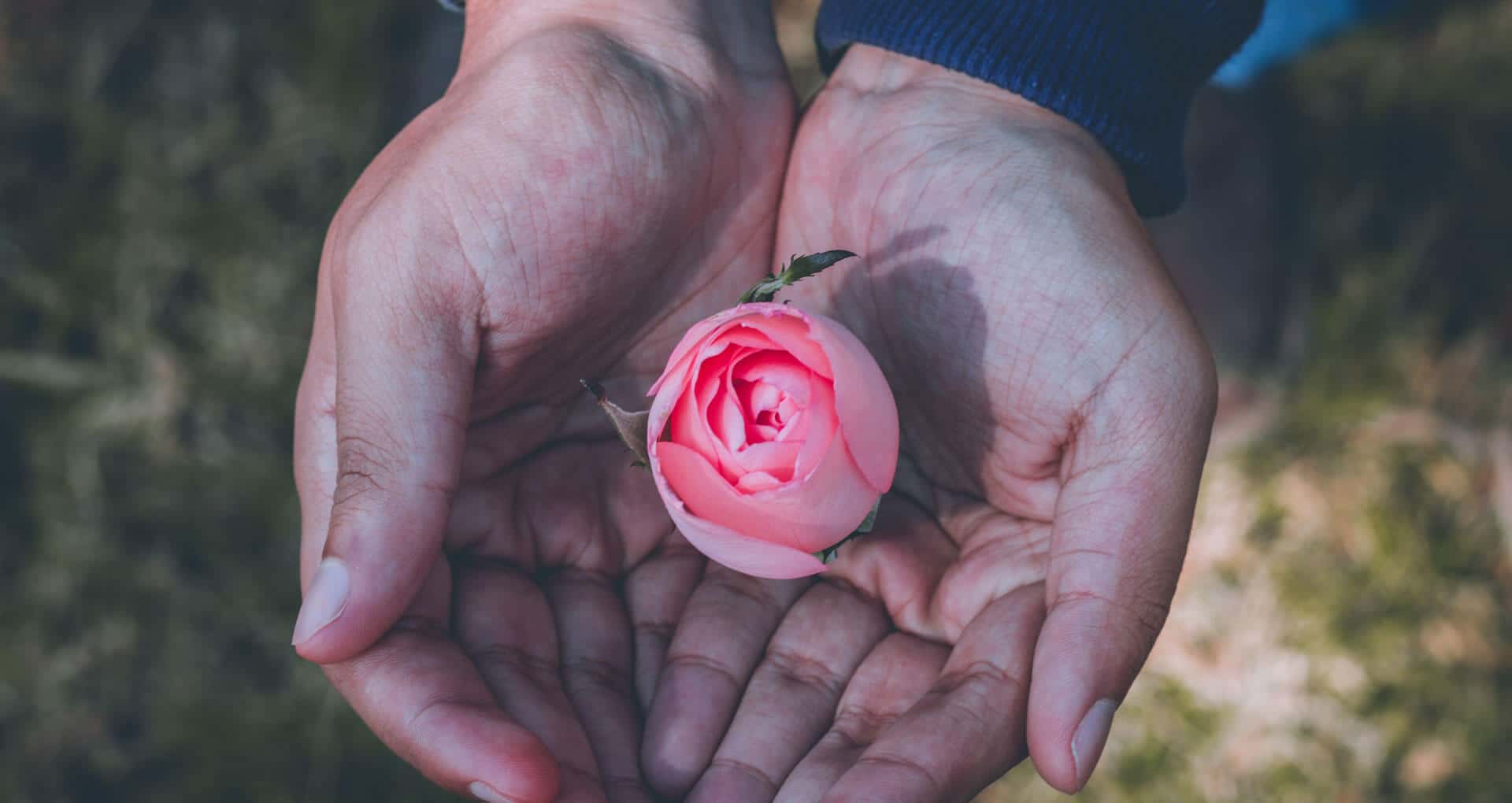 Ways to Give - Boost for Kids